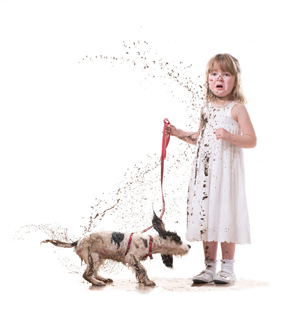 Behavioral Issues and Problems you can correct | Nashville K-9 University