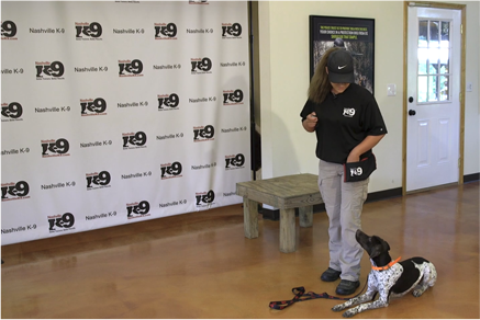 tactile-command-transition | Nashville K-9 University